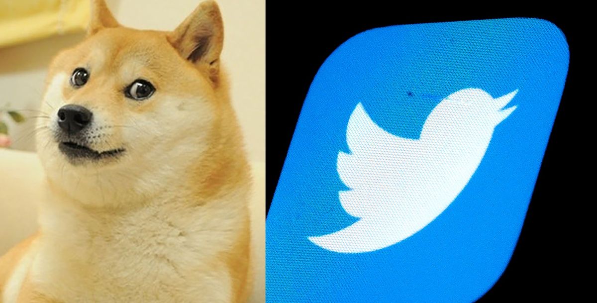 Twitter: por qué hay un perro en el logo y qué es