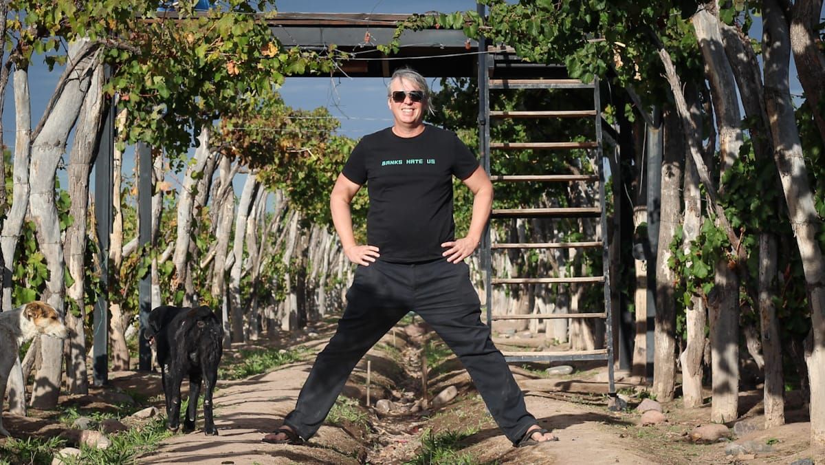 Un estadounidense que vive en Mendoza fabrica cajas para vinos con ...