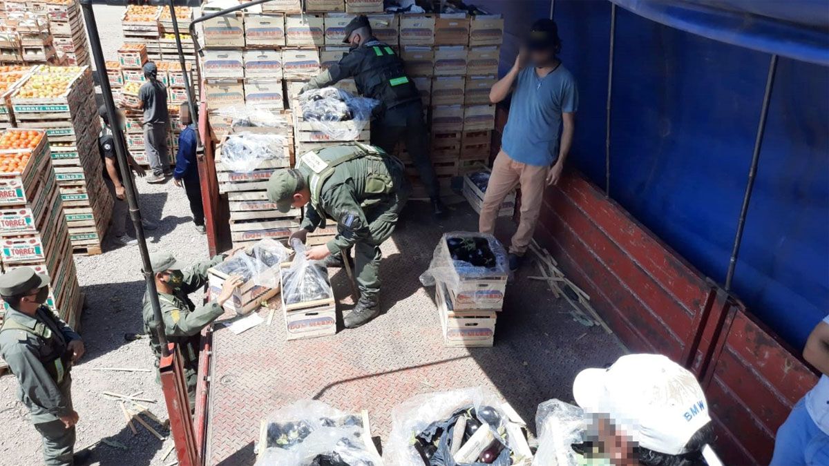 Hallaron 97 kilos de hojas de coca que estaban escondidas entre berenjenas