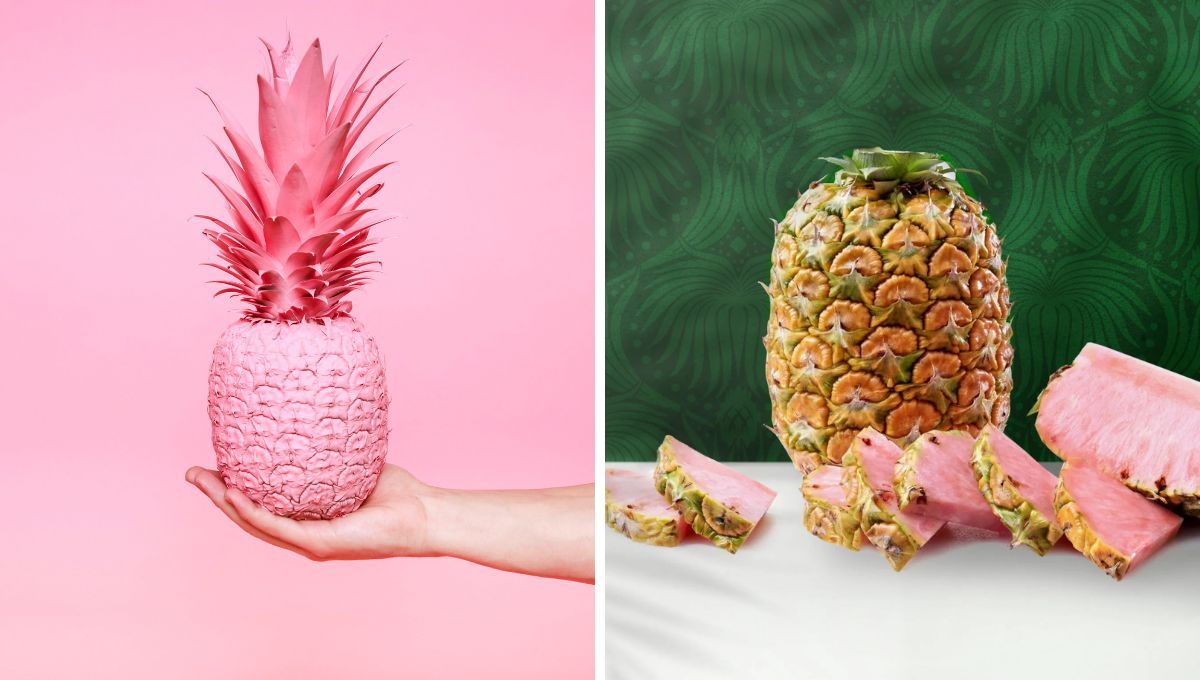 Cuál es el origen del ananá rosado y por qué es tan difícil de conseguir