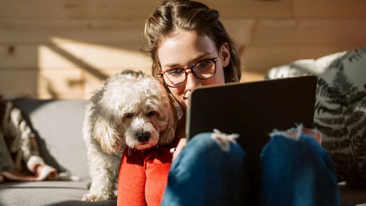 El test de los tres animales que revelará tu verdadera personalidad