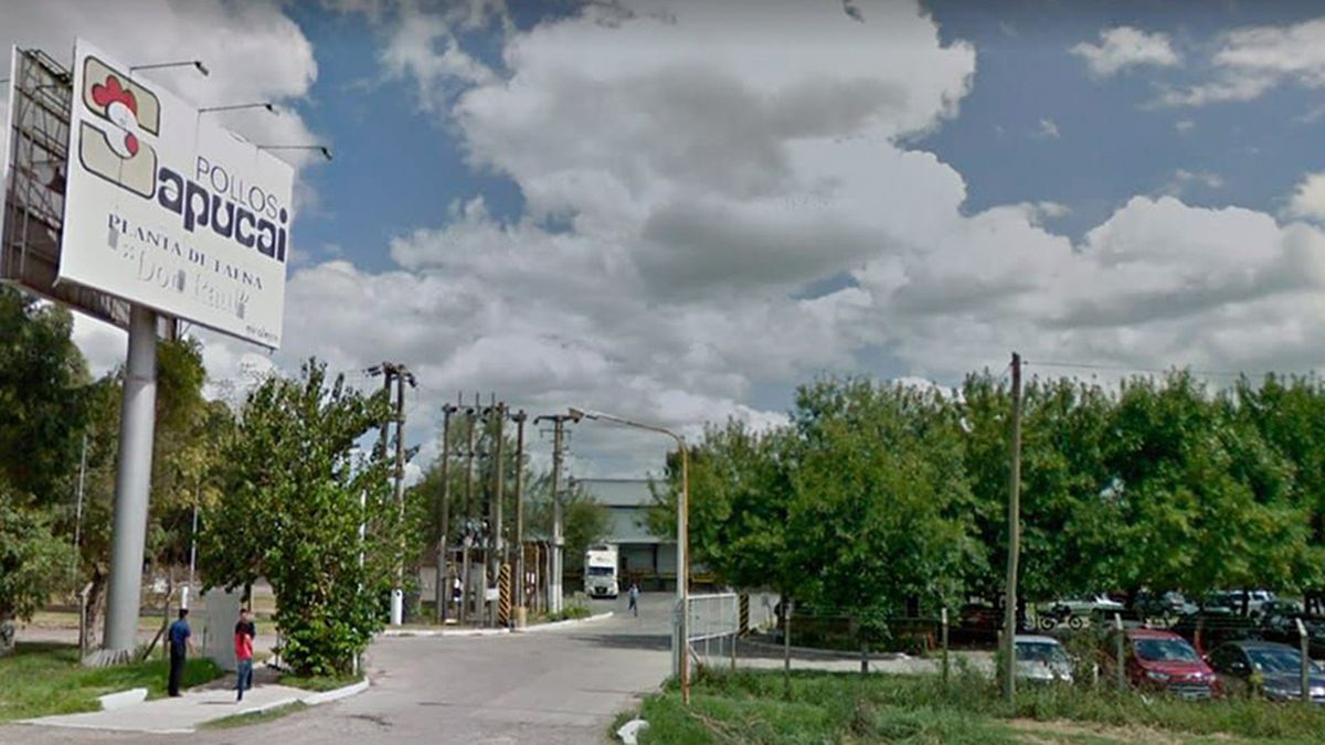 Confirman caso positivo en la planta de pollos Sapucai: cuarentena para ...
