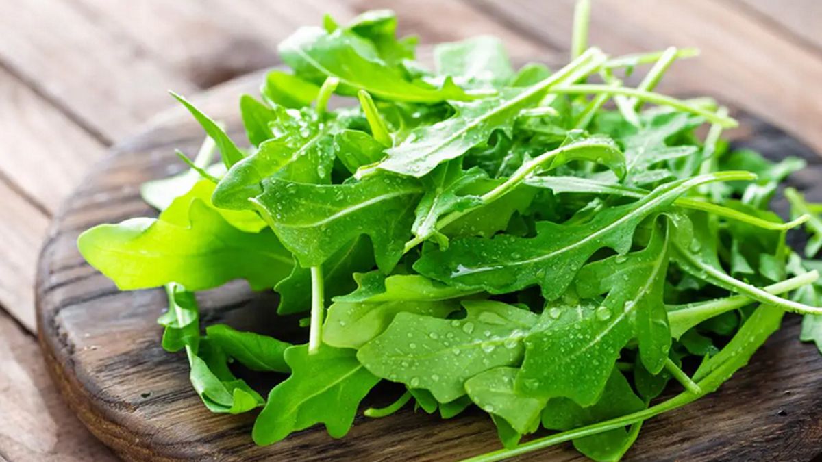 La semilla de rápido crecimiento que debes plantar ya mismo para ...