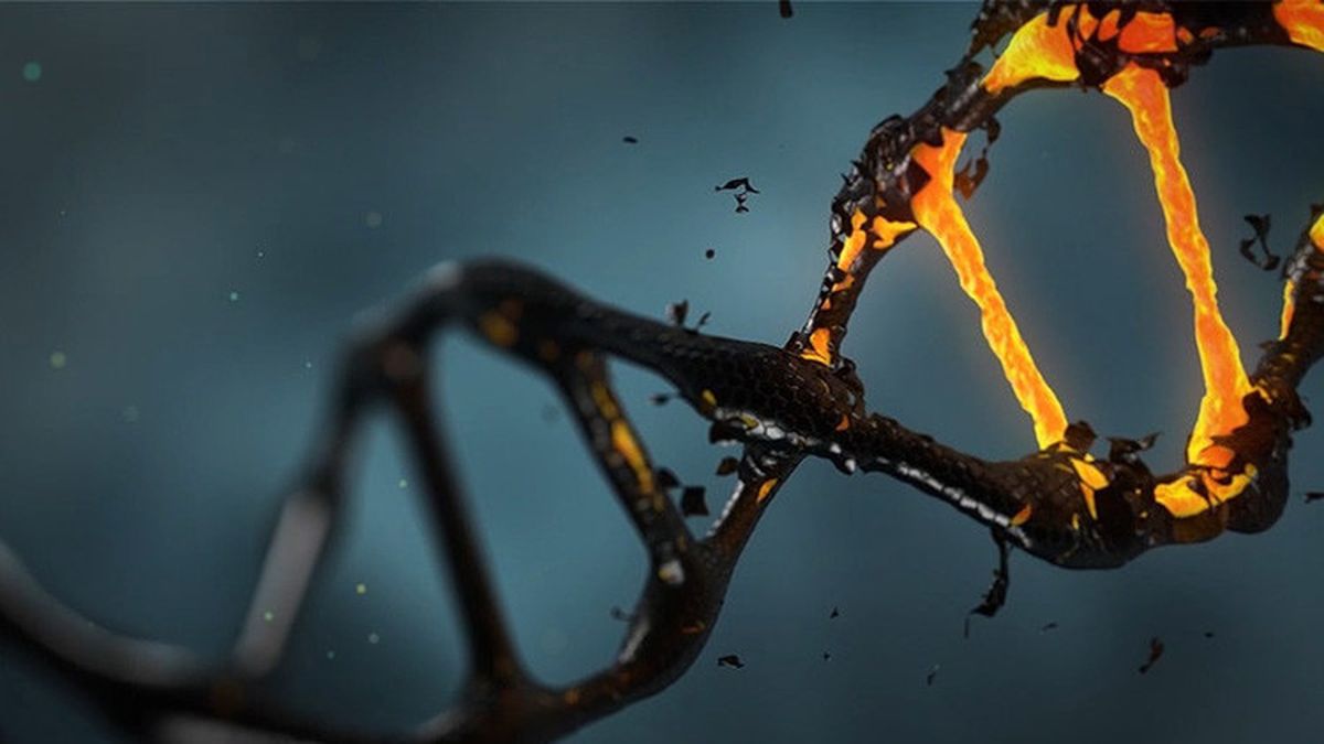 Crearon un material inspirado en Wolverine que se regenera en tan solo ...