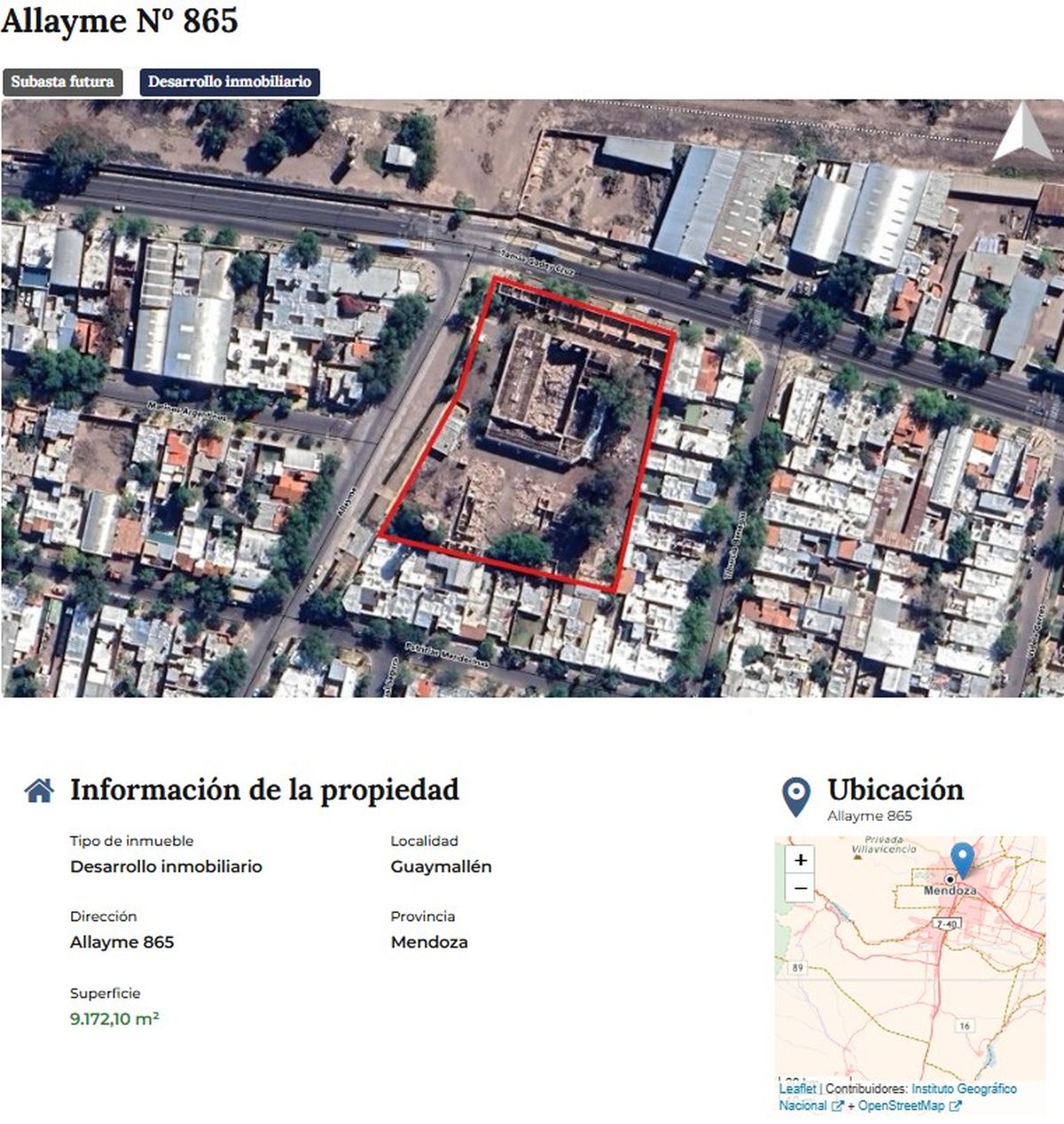 Nación otra vez subasta un inmenso terreno en Allayme y Godoy Cruz de Guaymallén