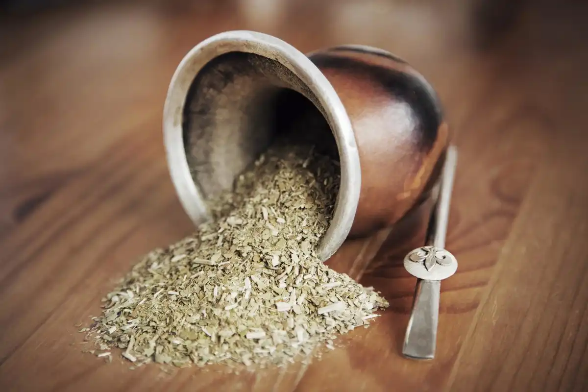 Mate rico y saludable: consejos para elegir la mejor yerba mate