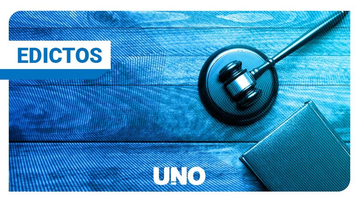 EDICTO: Roberto Carbonell, agrimensor - EX -2025- 04253152- GDEMZA ...