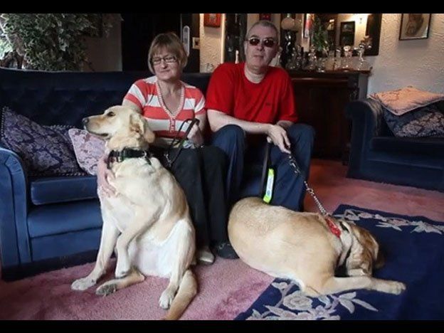 Perros lazarillo y cupidos