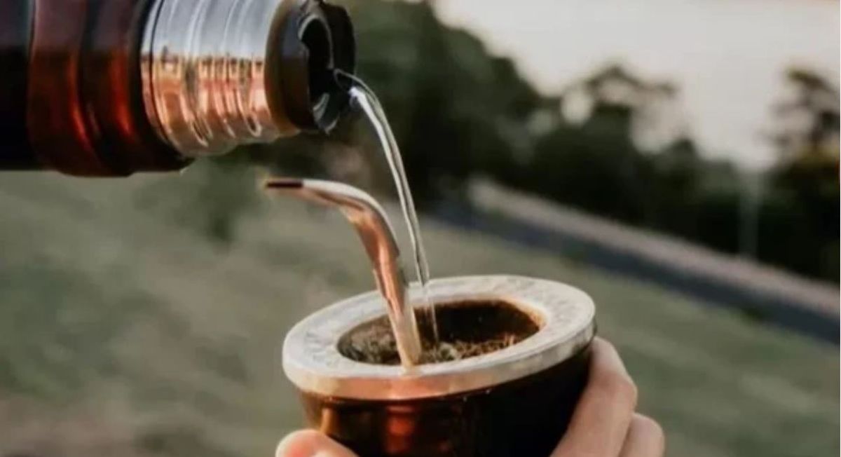 Mate rico y saludable: los yuyos más ricos y sabrosos para el mate