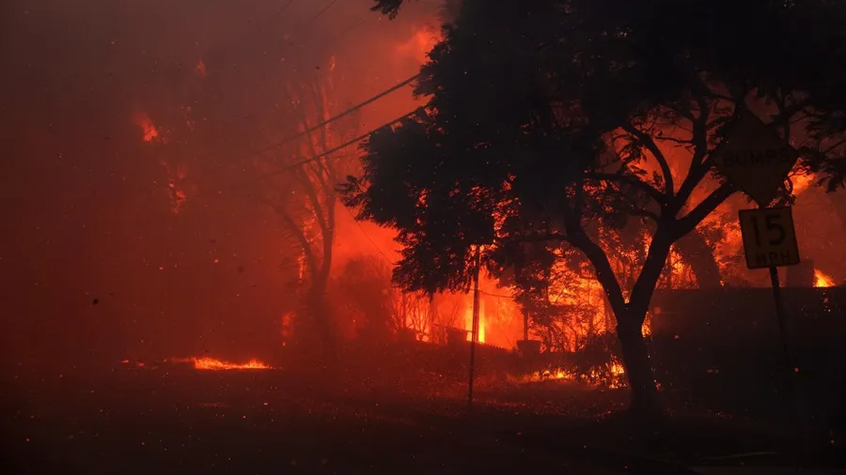 Incendios sin control en Los Ángeles: declaran estado de emergencia