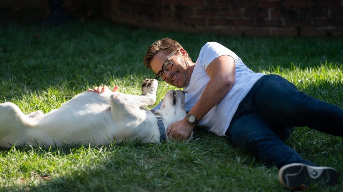 Netflix tiene la emotiva película sobre un perro perdido