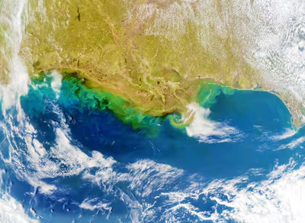 Respira hondo antes de saber cuál es el verdadero color de los océanos