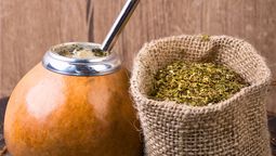 Mate rico y saludable: estas son las mejores yerbas para el mate