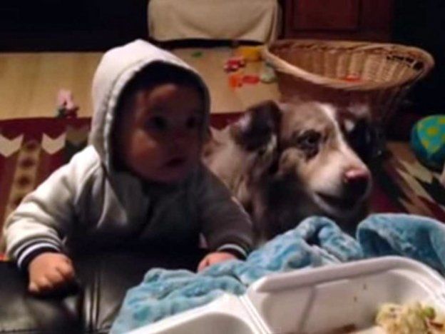 Enseñaban al bebé a decir mamá y el que aprendió fue ¿el perro?