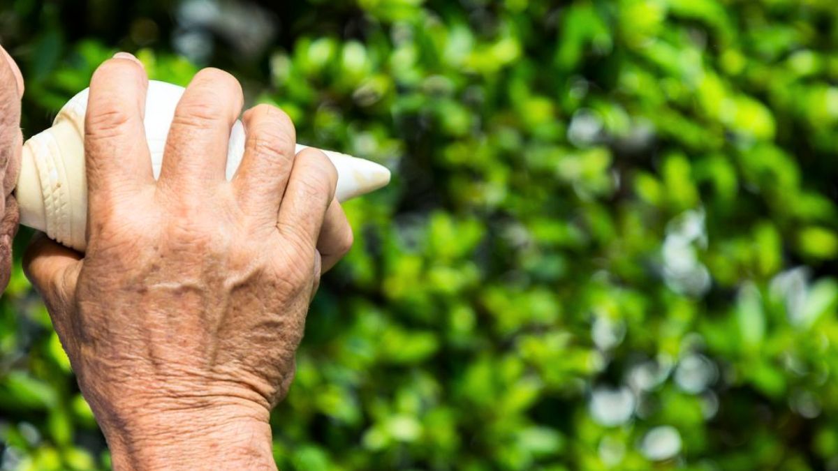 Soplar una caracola: la milenaria práctica que puede darte un ...