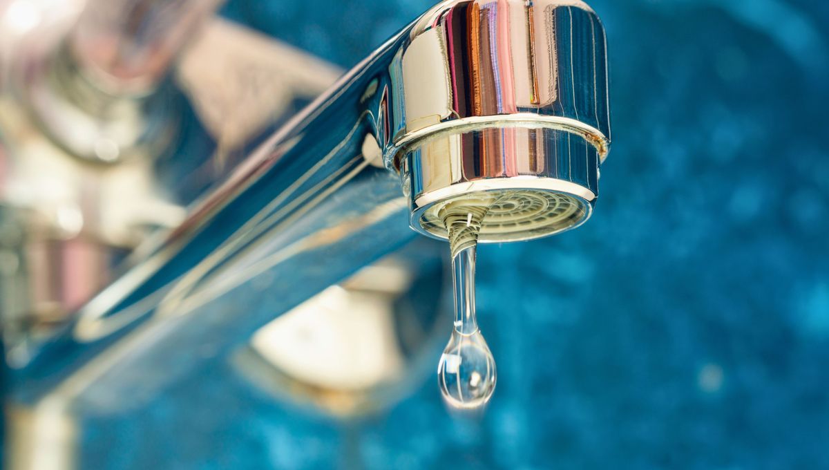 Con un truco casero: cómo arreglar una gotera en la canilla en pocos ...