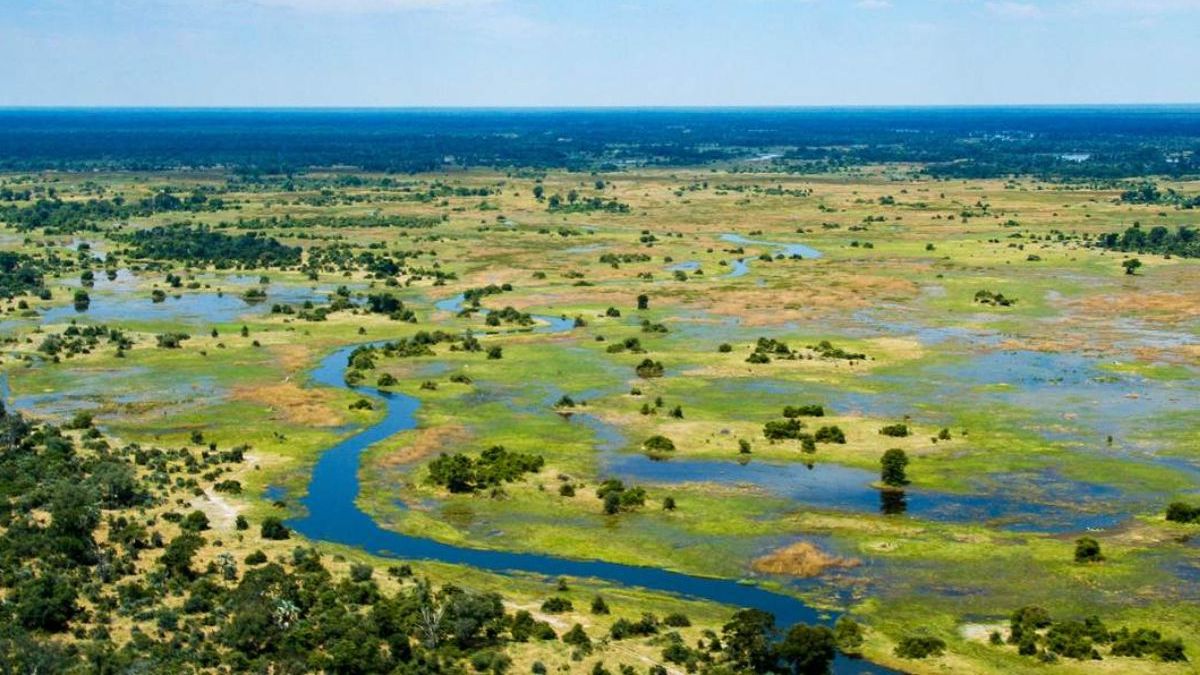 El río único en el mundo que desemboca en el desierto: crea un oasis de ...