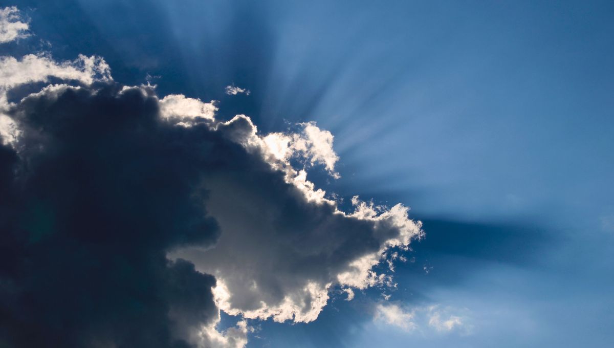 La palabra del día es epipháneia: ¿qué significa?