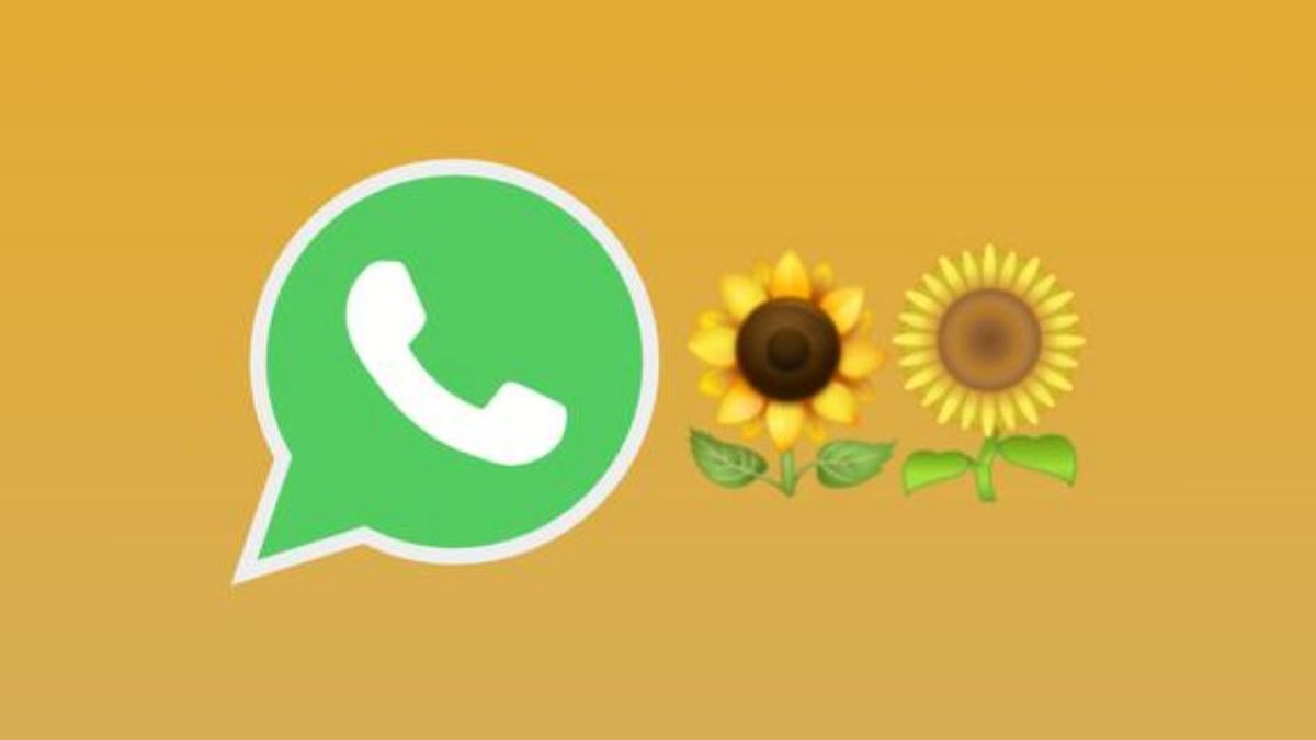 WhatsApp: el tierno y poco conocido significado del girasol