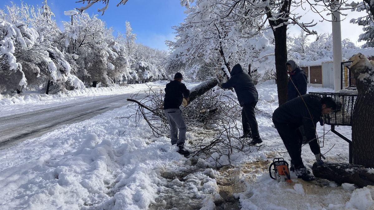 Federico Norte anticipó cuándo podría caer nieve en Gran Mendoza