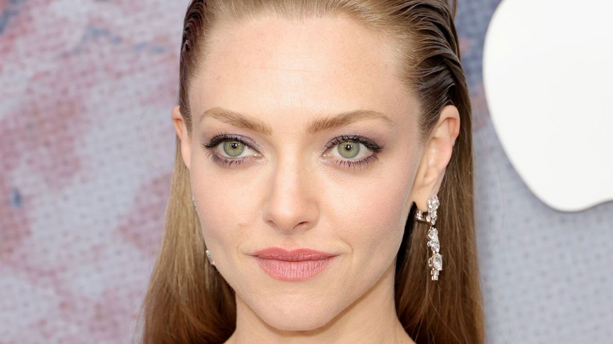 De qué va La apariencia de las cosas, la película de Amanda Seyfried