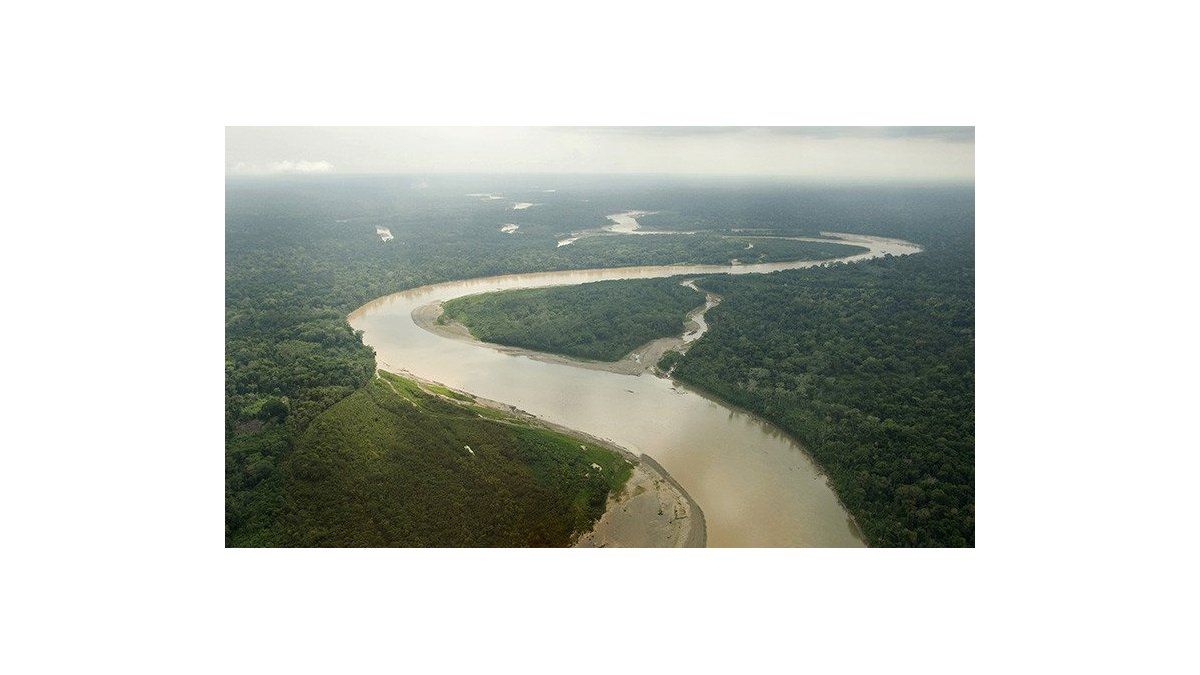 Gran descubrimiento en las profundidades del Amazonas