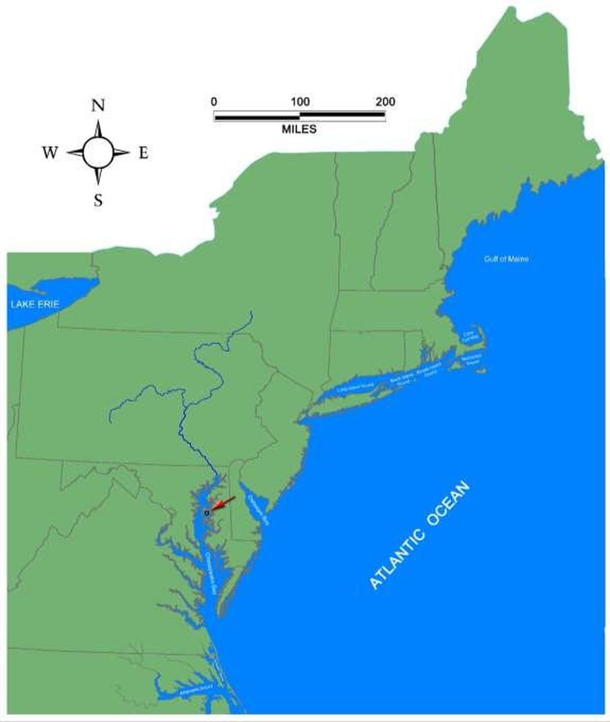 Impactante descubrimiento podría cambiar la historia de América y ...