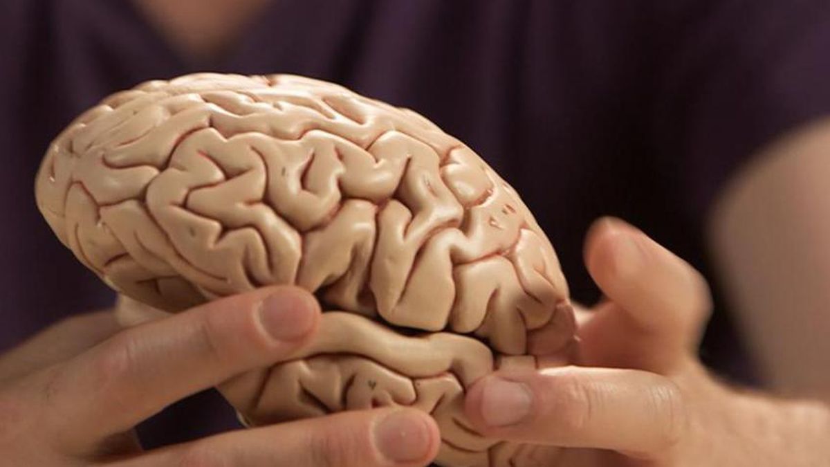 Tres tips para entrenar tu cerebro y mejorar la memoria según un ...