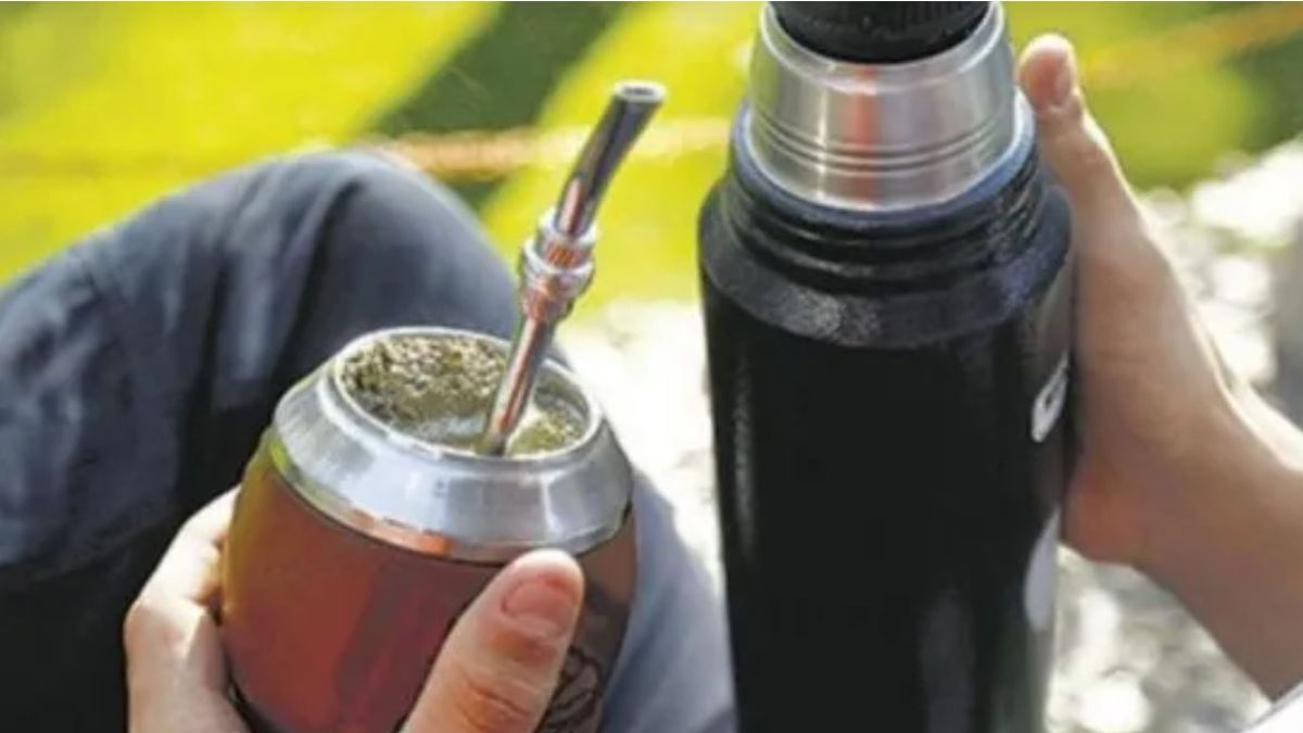 Mate rico y saludable: cómo elegir el mejor termo para el mate