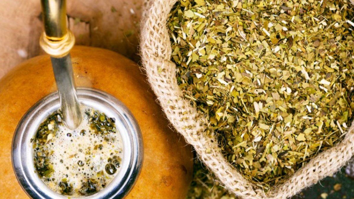 Día Nacional del Mate: cómo cebar un buen mate