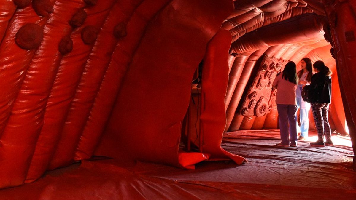 La gran Patch Adams: el colon gigante de OSEP es furor