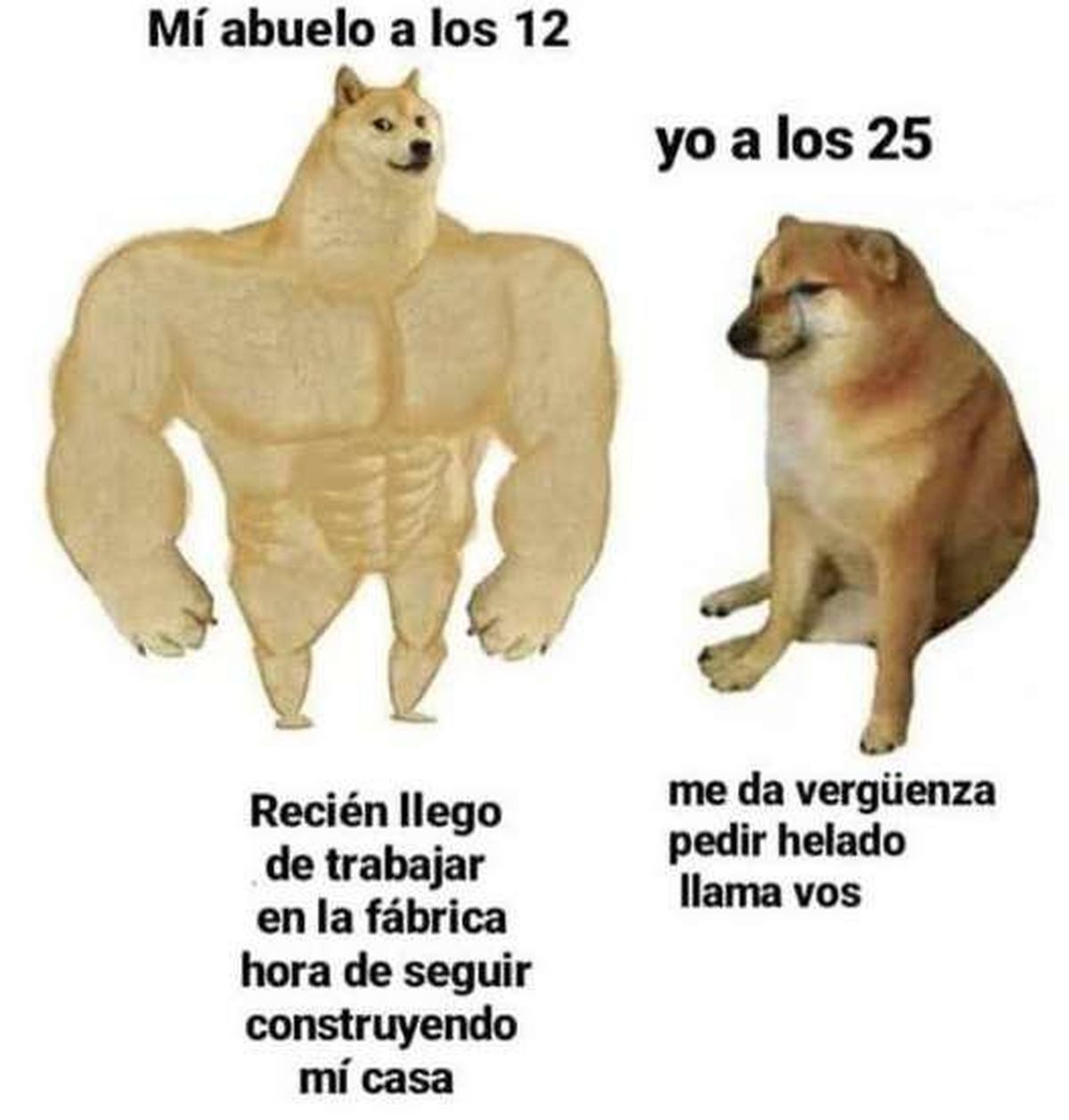 Los 10 mejores memes del perrito Balltze