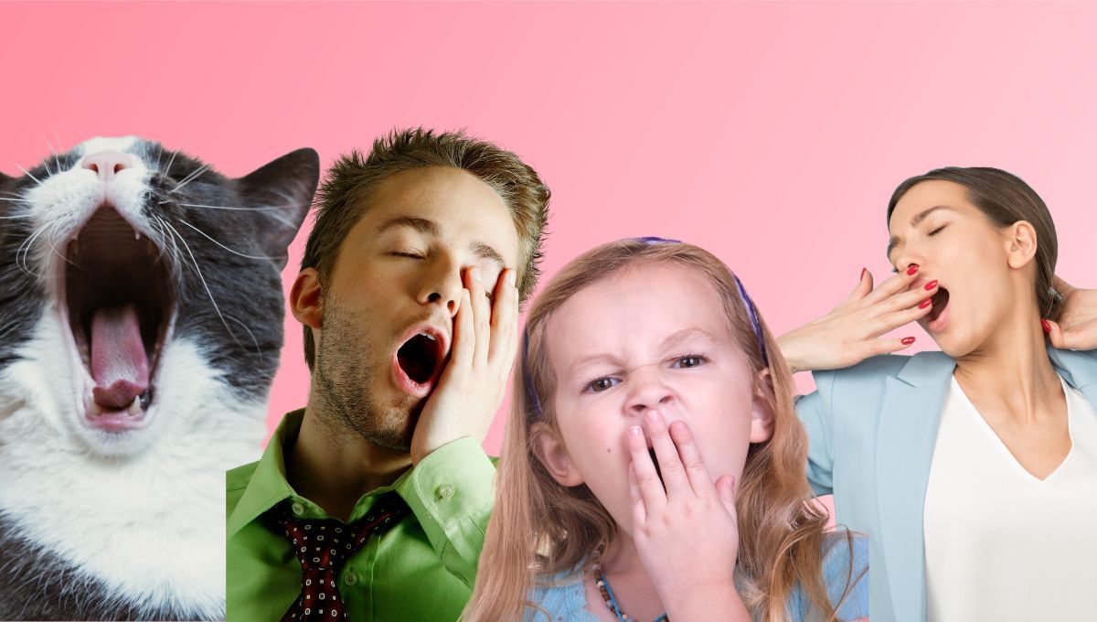 Por qué se nos pega el bostezo cuando otra persona lo hace, según la ciencia