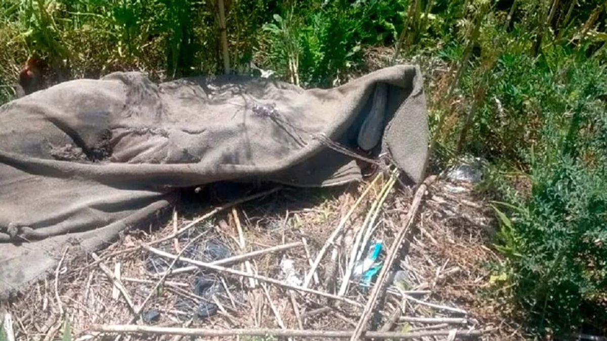 Hallaron un cadáver al costado de una ruta e investigan si se trata de ...