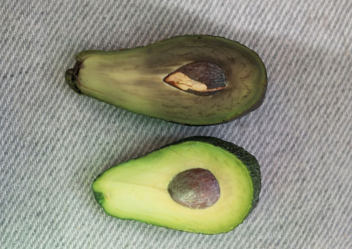 Qué pasa si consumo la parte negra de la palta y cómo guardarla durante ...