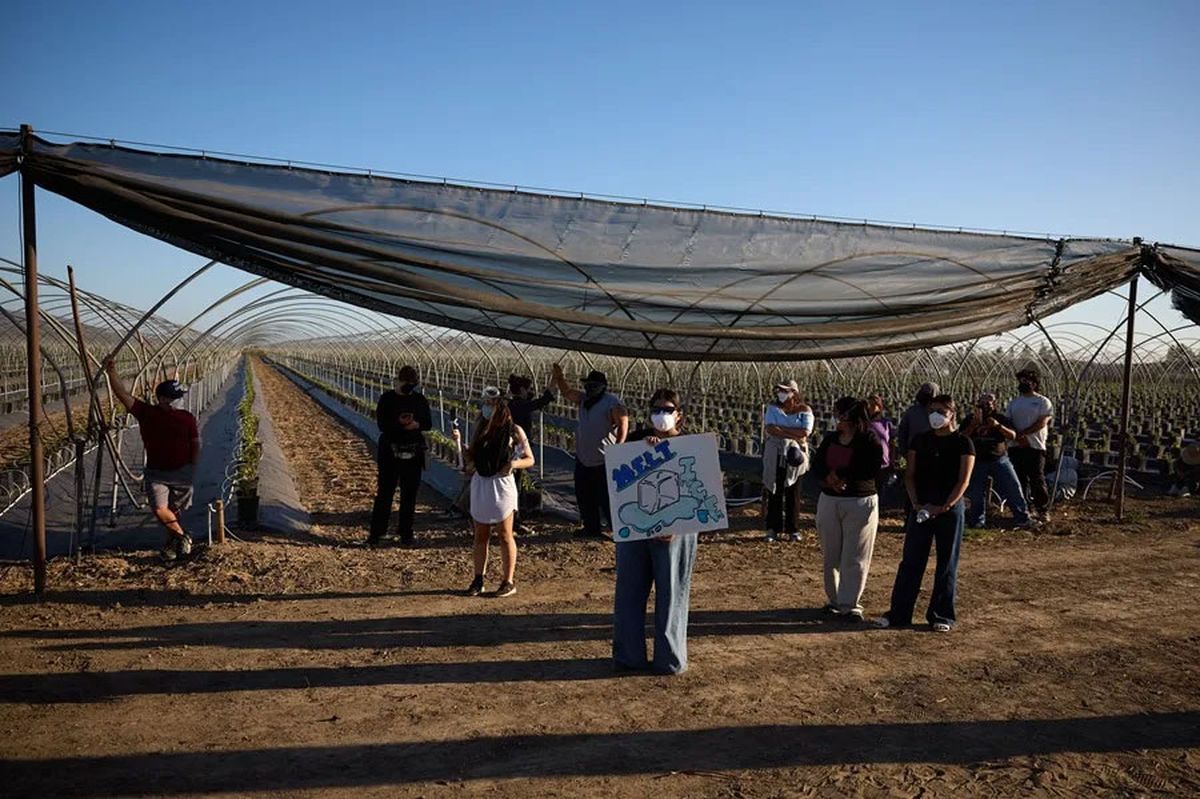 Redada migratoria en California deja un trabajador muerto y menores ...