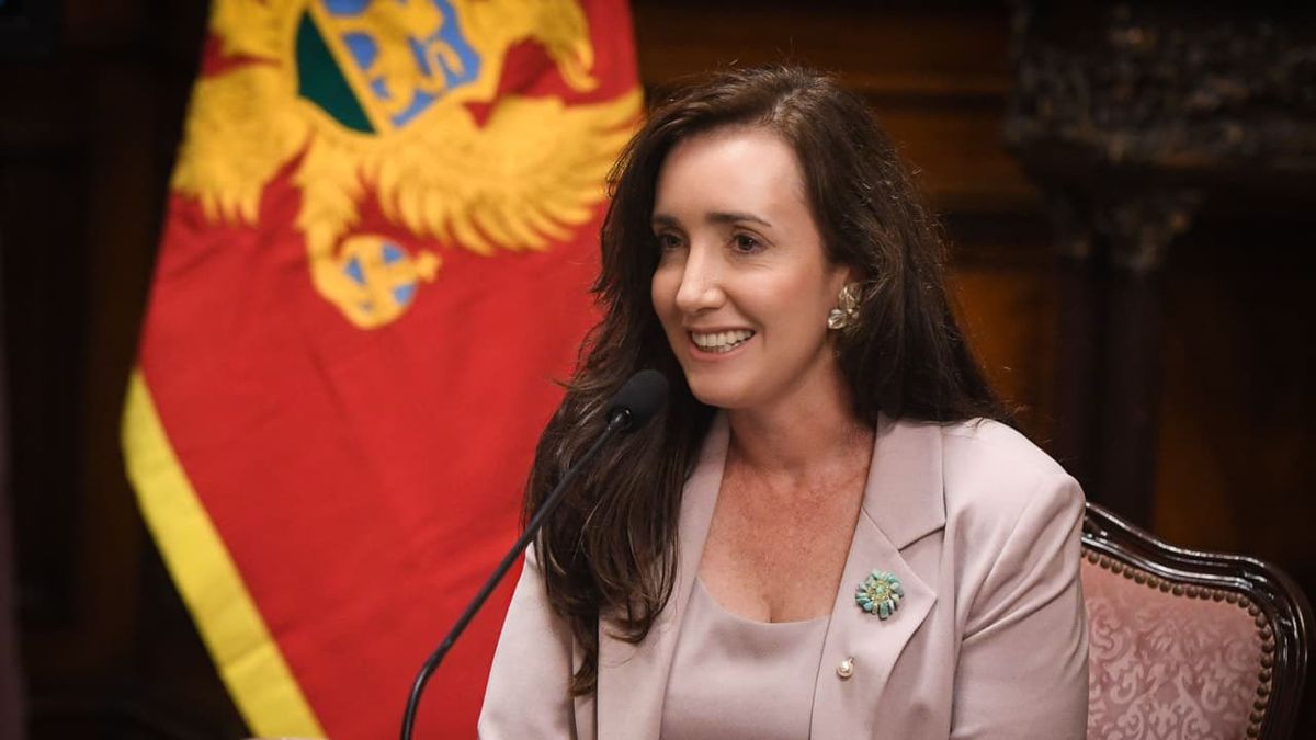 Victoria Villarruel calificó al biógrafo de Javier Milei como un señor ...