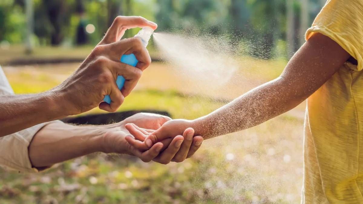 El repelente casero y natural contra mosquitos que se volvió viral por ...