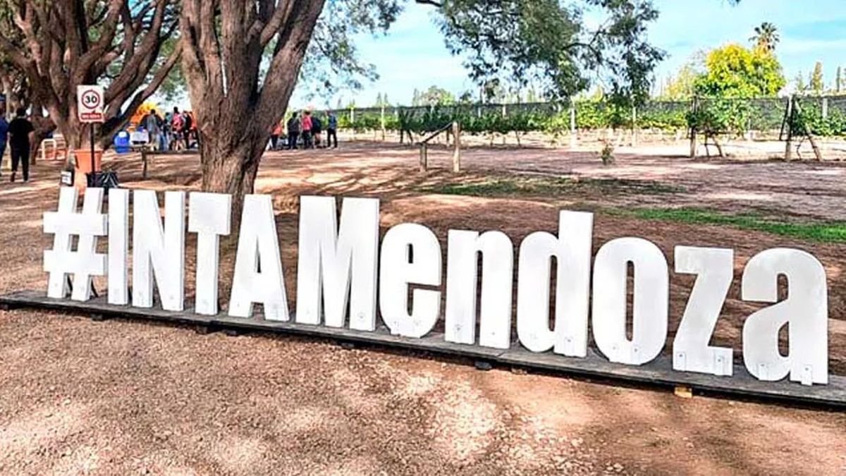 El INTA advirtió que el modelo de Milei reduce su autonomía ...