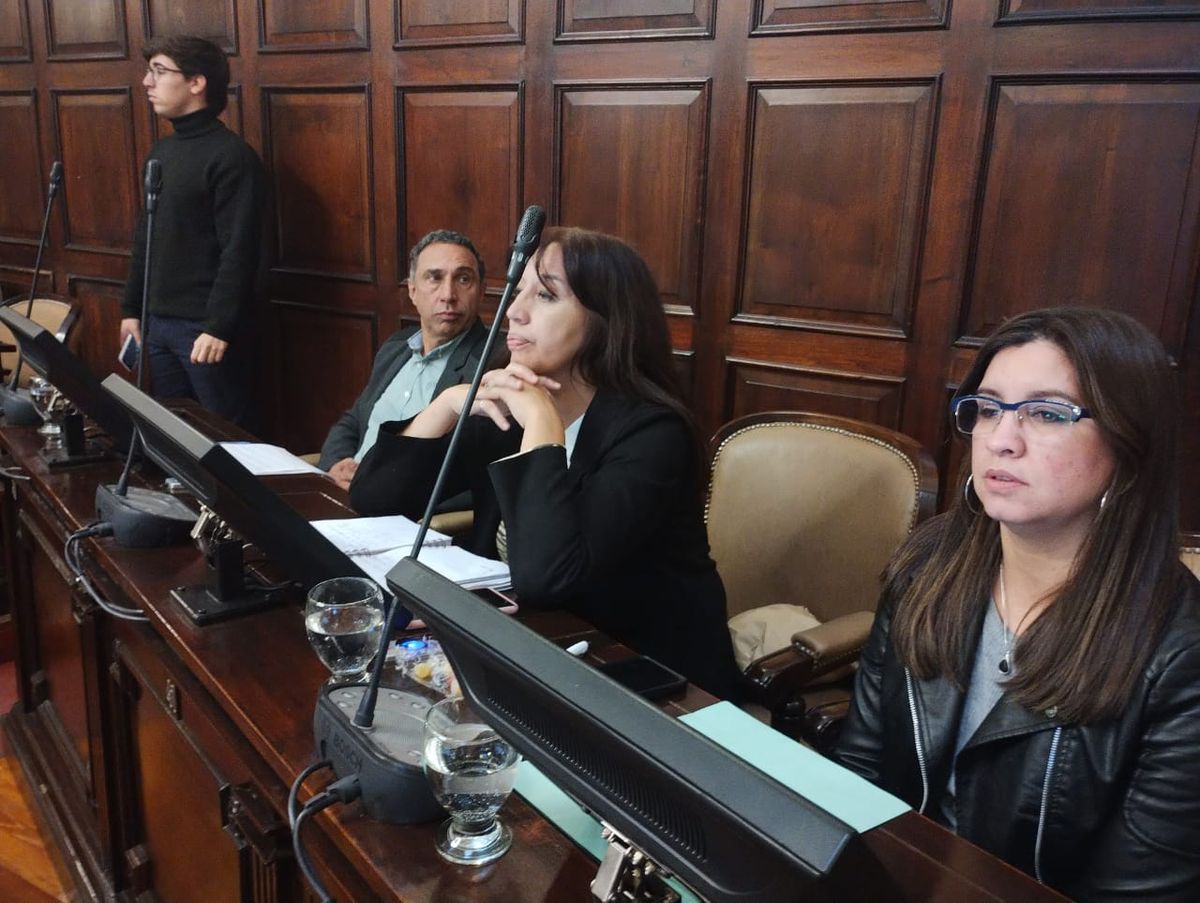 La diputada homónima a la empleada legislativa implicada en el caso ...