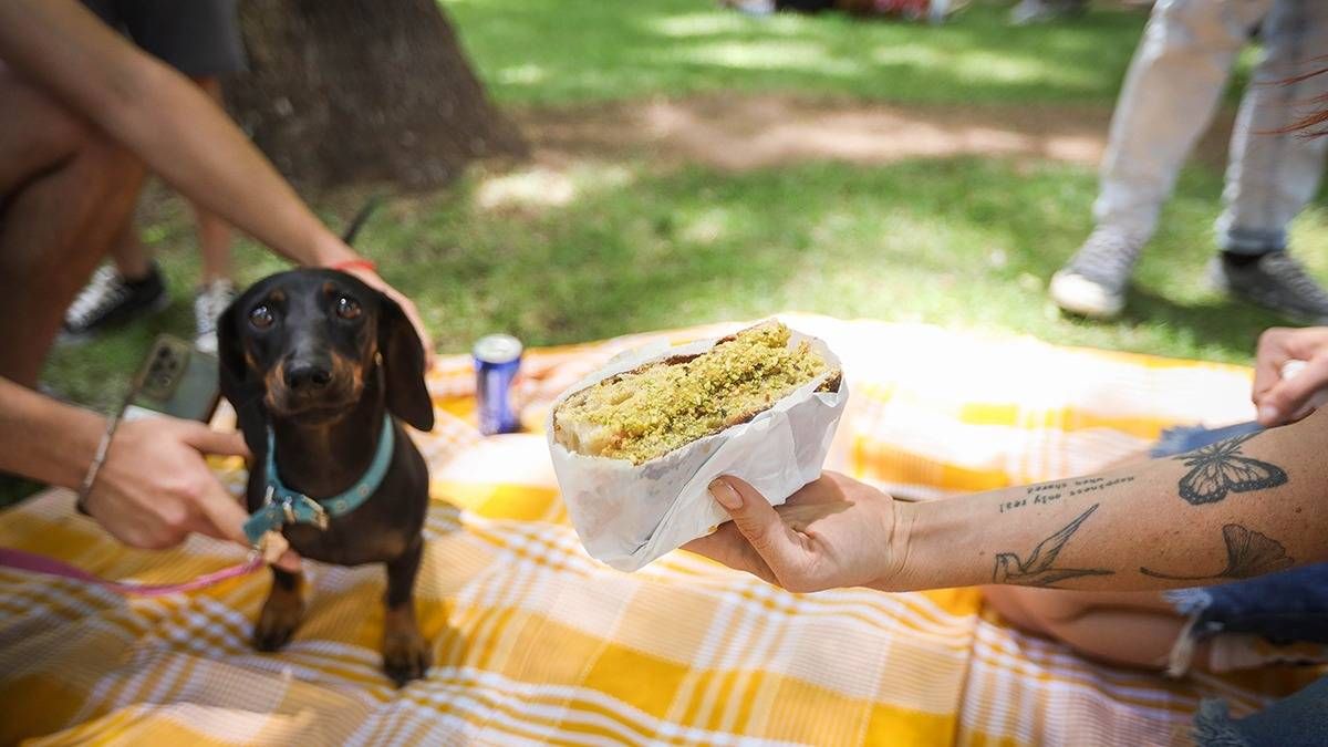 Sándwiches, tejo y música: el fenómeno creado por un mendocino que ...