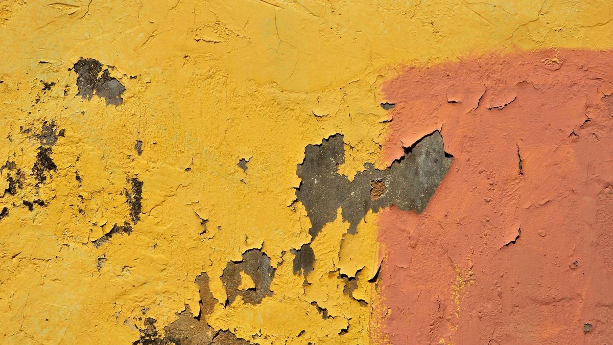 Qué quiere decir que la pintura se descascare de la pared y cómo se ...
