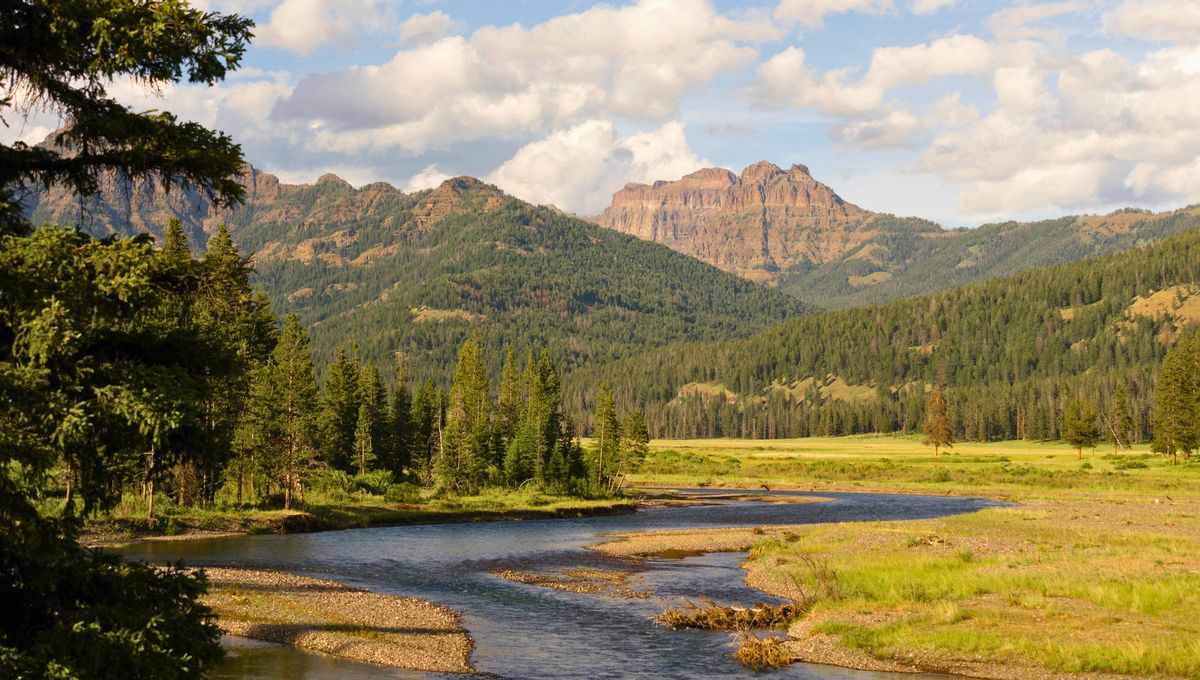 El primer Parque Nacional del mundo: con 9.000 km es cuna del ...