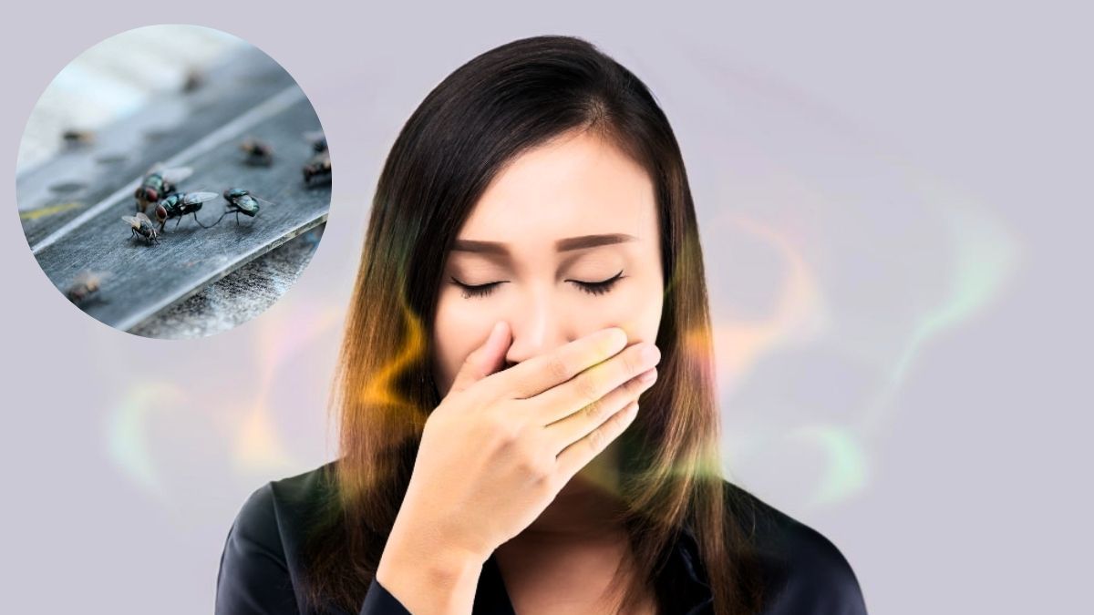 Descubren que una planta que era ideal para luchar contra el mal ...