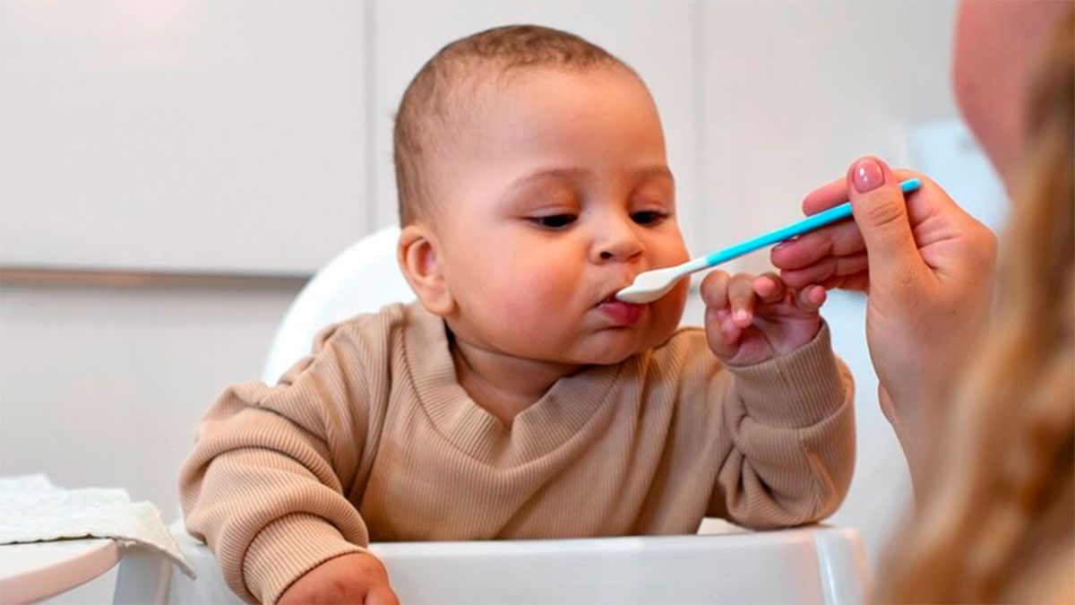 El fruto seco que es un potencial peligro para bebés y que seguro ... El fruto seco que es un potencial peligro para bebés y que seguro ...