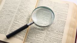 Cuál es el origen y significado de la palabra pibe