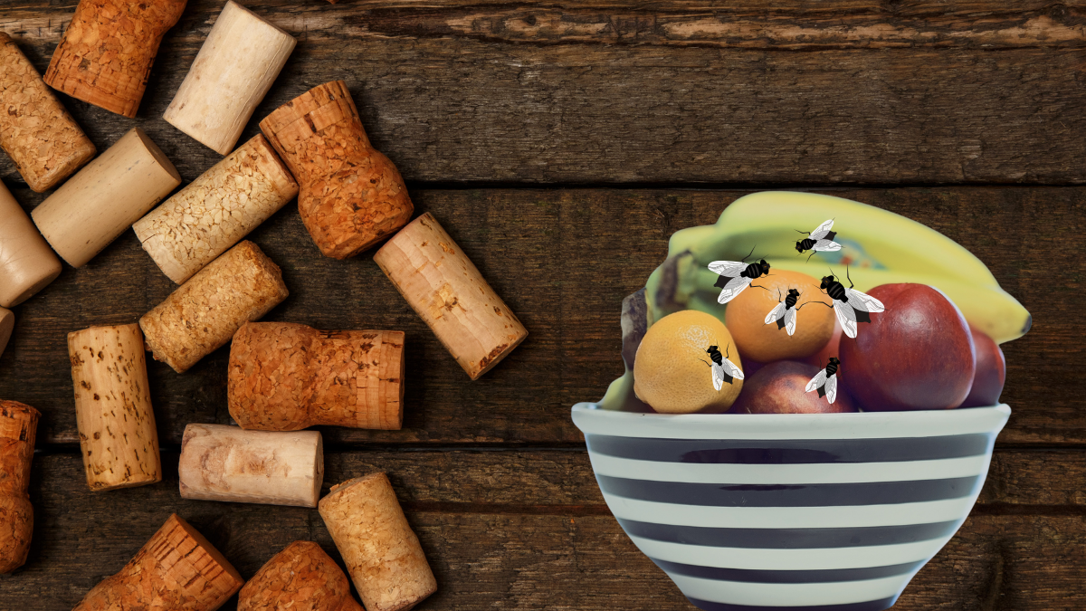 Moscas en España: este es el truco del corcho para alejarlas de tus frutas