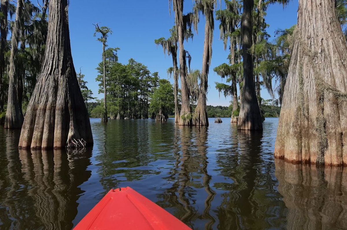 El lago de FLORIDA a minutos de la ciudad considerado uno de los ...