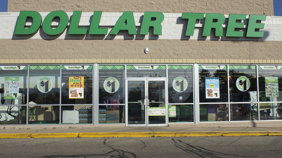 Aprovecha los productos con descuento en Dollar Tree antes de que ...