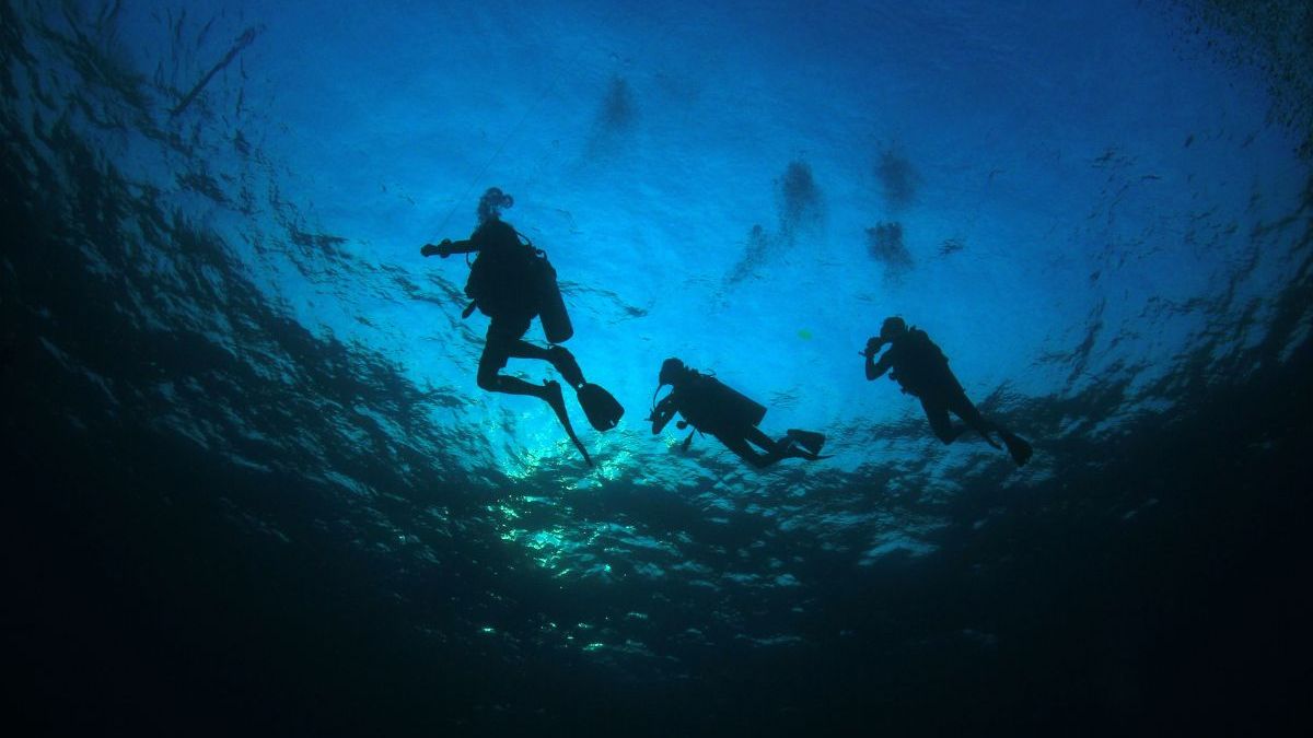 Películas sobre buceo que nos paralizaron el corazón